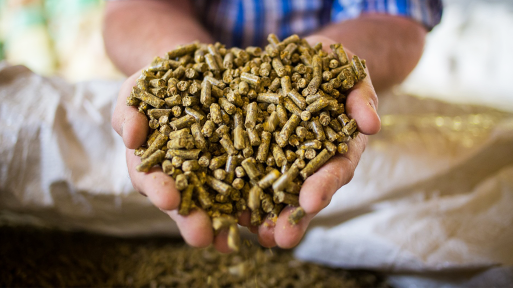 Services – Green KWT