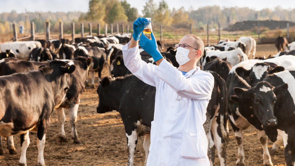 Services – Green KWT